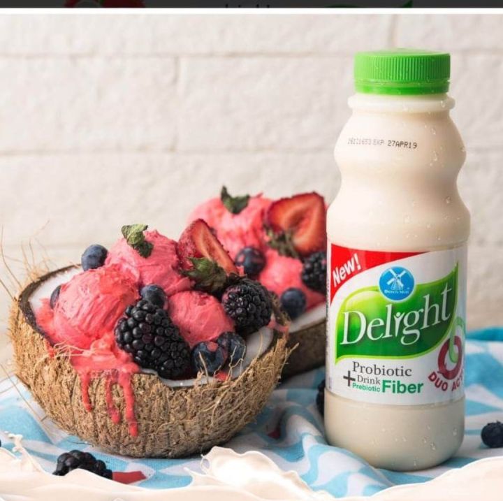 Dutch Delight Probiotic Drink 400ml | Lazada PH