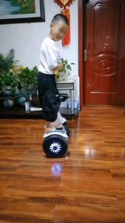 NEW Hoverboard - 10 Inch smart balance Balance Wheel Electric Balancing ...