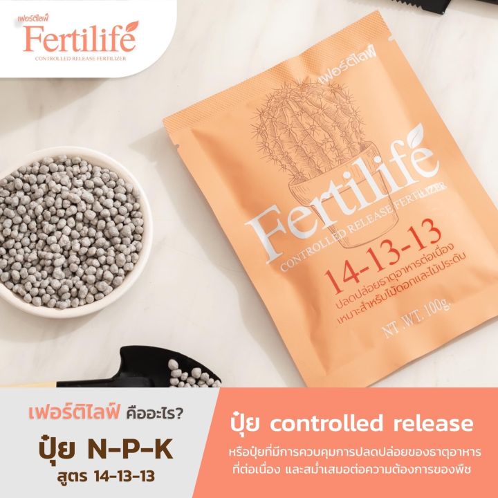 Fertilife ปุ๋ยละลายช้า | Lazada.co.th