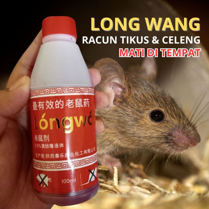 LONG WANG Racun Tikus dan Babi Hutan | Lazada Indonesia