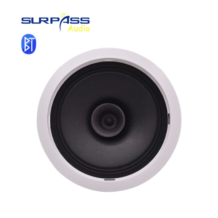 Ceiling Speaker Full Range Bluetooth Amplifier megaphone surround ...