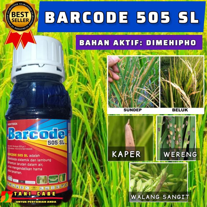 INSEKTISIDA BARCODE 505 SL DIMEHIPO HAMA SUNDEP DAN WERENG TANAMAN PADI ...