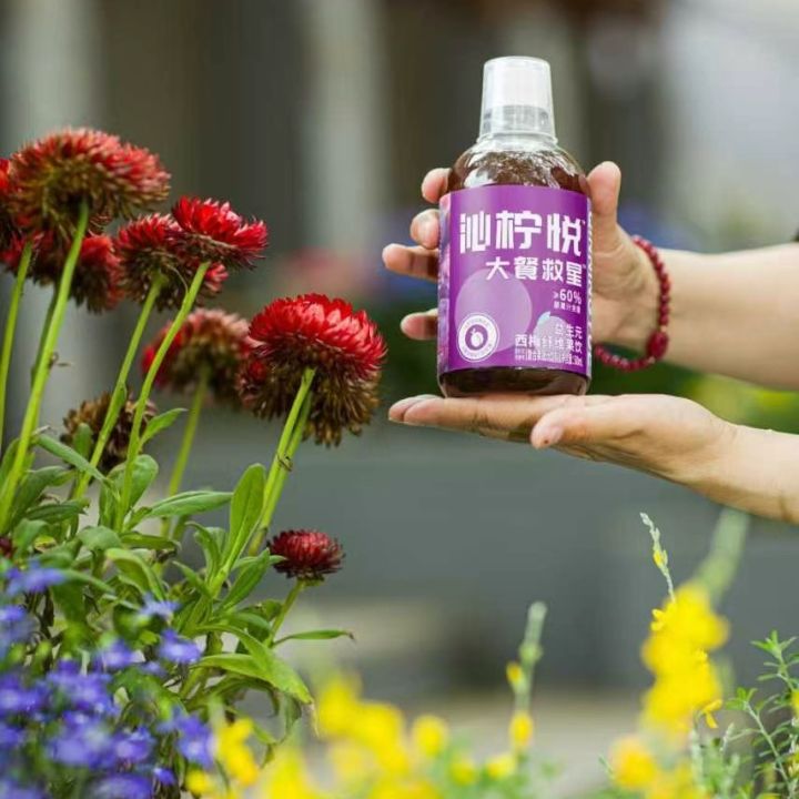 Concentrated Plum Juice Original Pulp Fiber Rich Fruit Drink Health ...