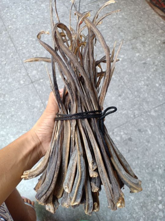 buntot pagi small 1pcs/ pangontra aswang barang at kulam | Lazada PH