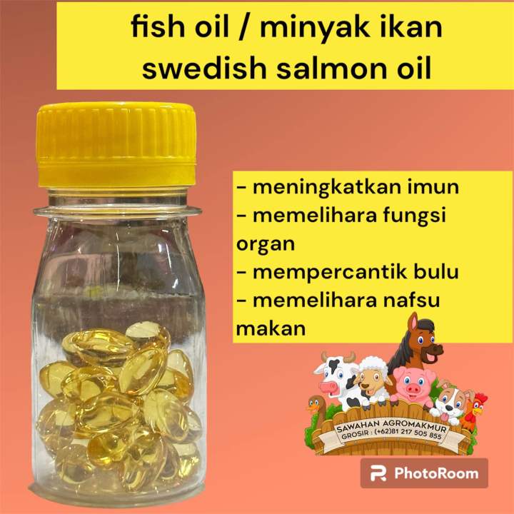 minyak ikan eceran isi 30 untuk hewan burung ayam aduan bangkok jago ...