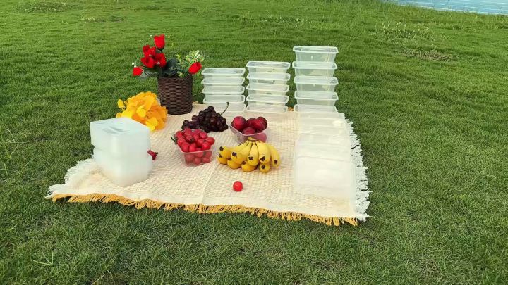 500ml,650ml,750ml,1000ml Rectangle Microwavable Food Container ...