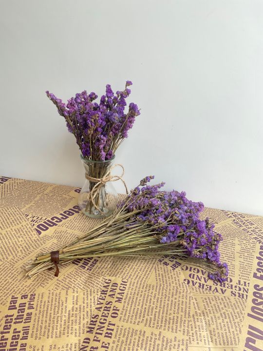 สแตติสแห้ง ดอกสแตติช สเตติส สเตติช Statice ดอกไม้แห้ง ดอกจริง รวมสี กำ ...