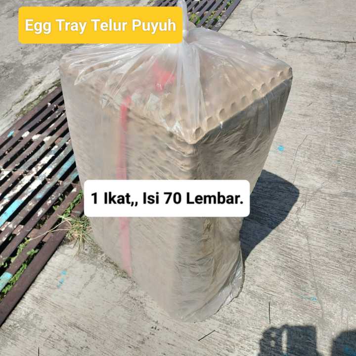 Egg tray Telur Puyuh 1 ikat isi 70 lembar (90 butir) | Lazada Indonesia