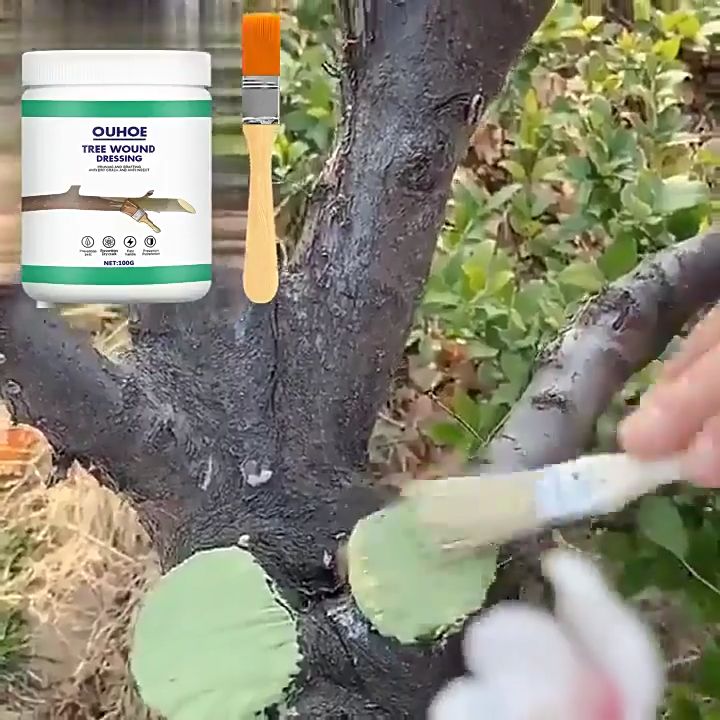 Tree Wound Repair Sealer Tree Grafting Paste Wound Dressing Grafting ...