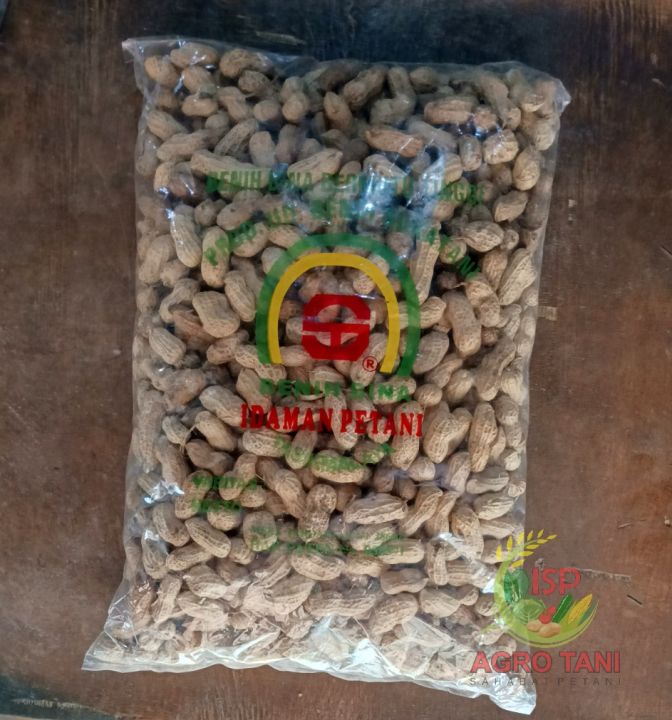 Benih/bibit kacang Tanah Suuk 1kg bercangkang BN | Lazada Indonesia