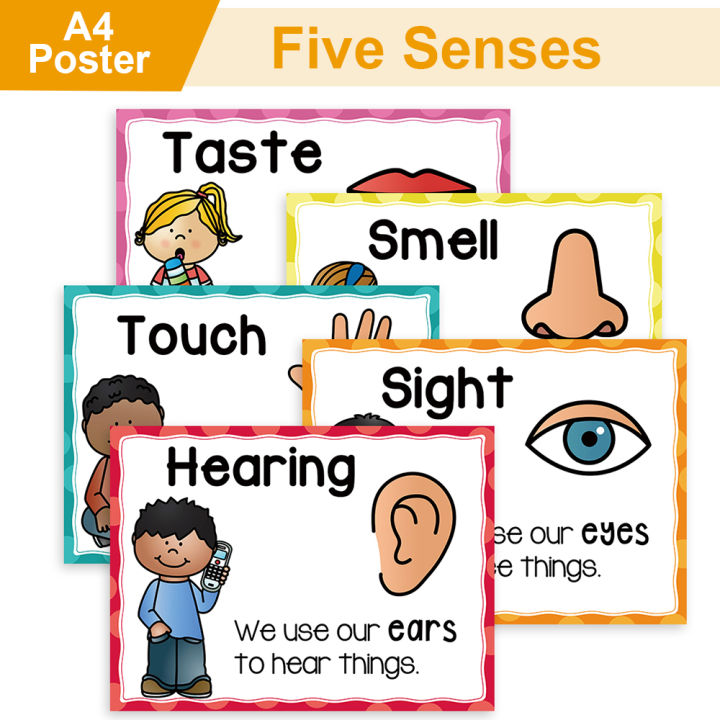 Five Senses Educational Posters About Sight Smell Hearing Taste Touch