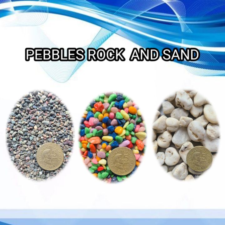 PEBBLES ROCK AND SAND | Lazada PH