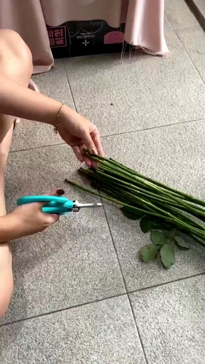 LAGI VIRAL !!! Gunting Bunga Florist / Gunting Batang Tanaman Gunting ...