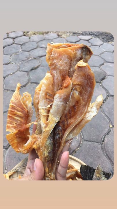 LABAHITA DRIED FISH 500g | Lazada PH