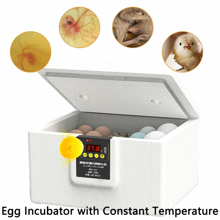 Egg Incubator Automatic Bionic Waterbed Incubator Egg Machine ...