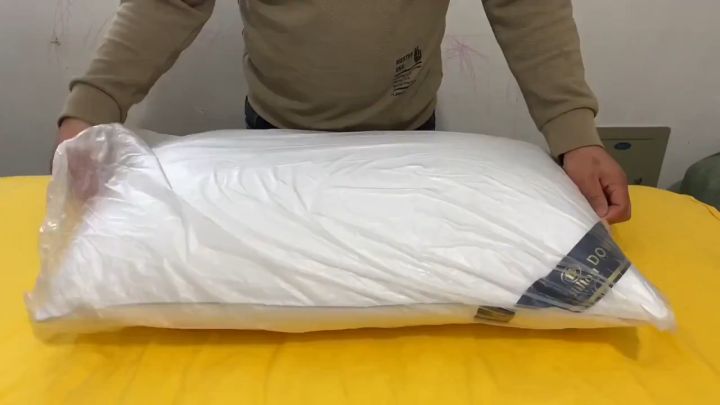 1Kg Hilton Pillow Hotel Pillow 48*74cm/19*29inch Buy 1 Take 1 Vacuum ...
