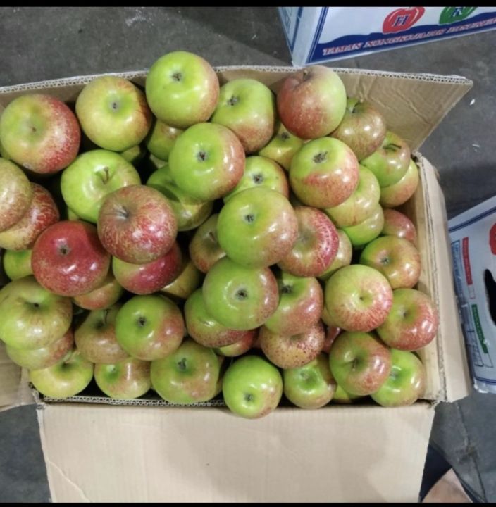 Apel hijau Malang fresh manis segar 1kg | Lazada Indonesia