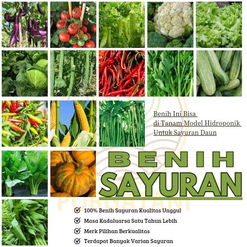 Benih sayuran bibit sayuran unggulan paket lengkap tanaman sayuran ...