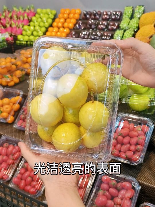 Disposable Fruit Packaging Box Strawberries One Pound Transparent ...