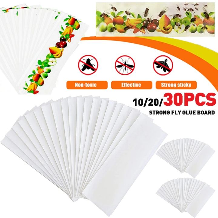 Sticky Insect Board Powerful Flycatcher Sticker Sheet Greenhouse Pest ...