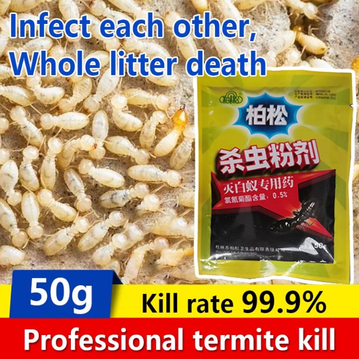 termites killer powder 50g Termite baiting system, ant killer powder ...
