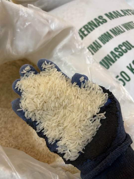 Thai Hom Mali - Beras Wangi (1kg) / Fragrant Rice (1kg) | Lazada