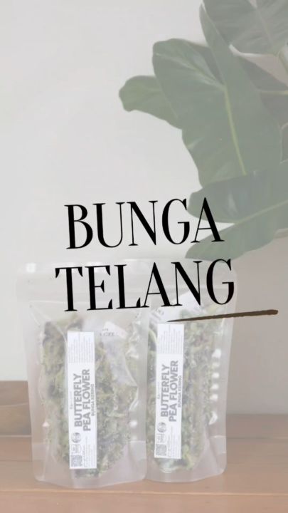 Bunga Telang Kering - Teh Bunga Telang - Dried Butterflie Pea Flowers ...