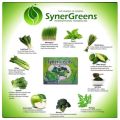 SYNERGREENS 1 BOX (30 sachets) | Lazada PH