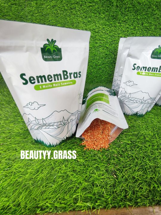 Benih Rumput Brachiaria Humidicola / Decumbens /Hybrid / Penghijauan ...