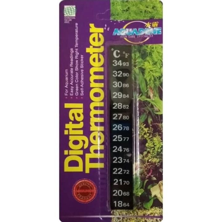 AQUADENE Digital / Glass Thermometer | Lazada