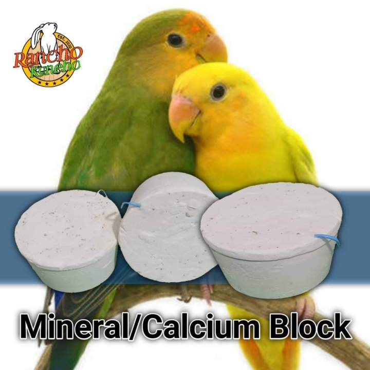Mineral calcium block (5,10)pcs. | Lazada PH
