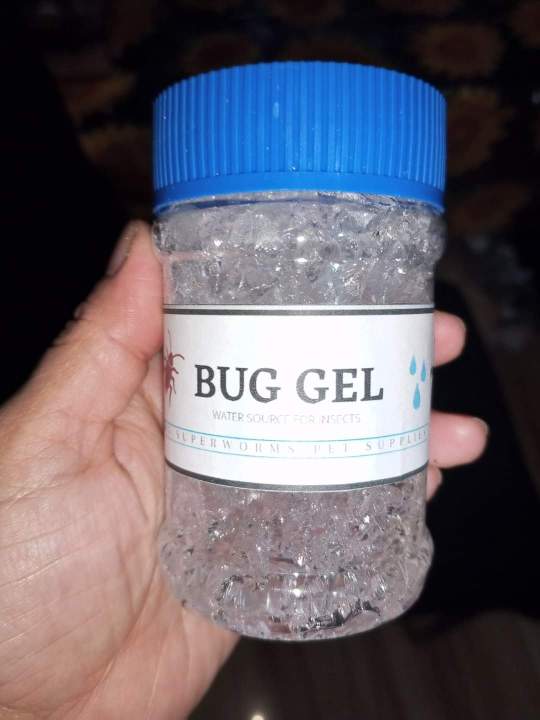 Water Bug Gel -water source for feeders | Lazada PH