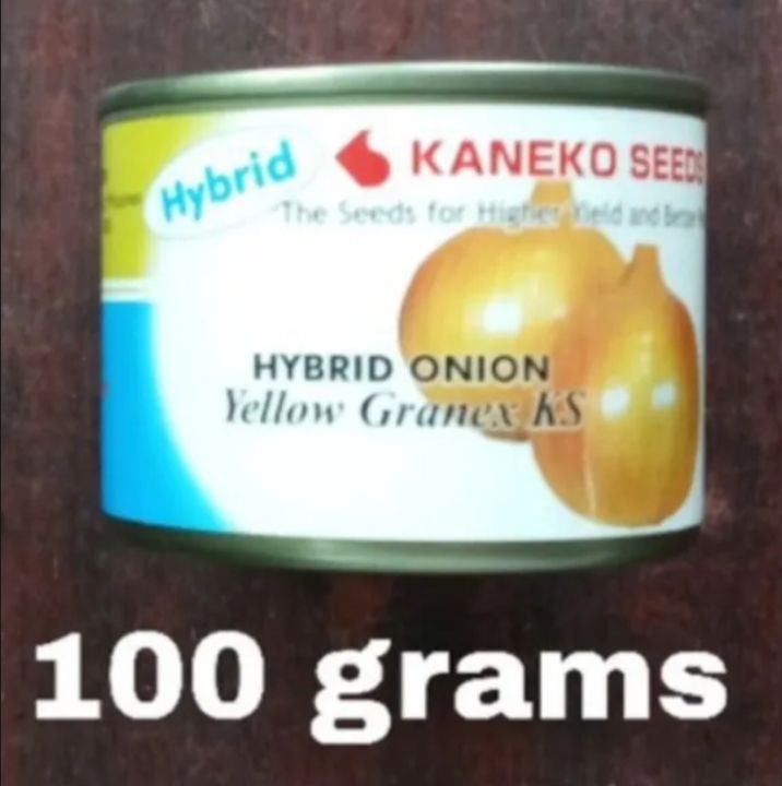 YELLOW GRANEX HYBRID ONION SEEDS 100 GRAMS ORIGINAL PACKING (KANEKO ...