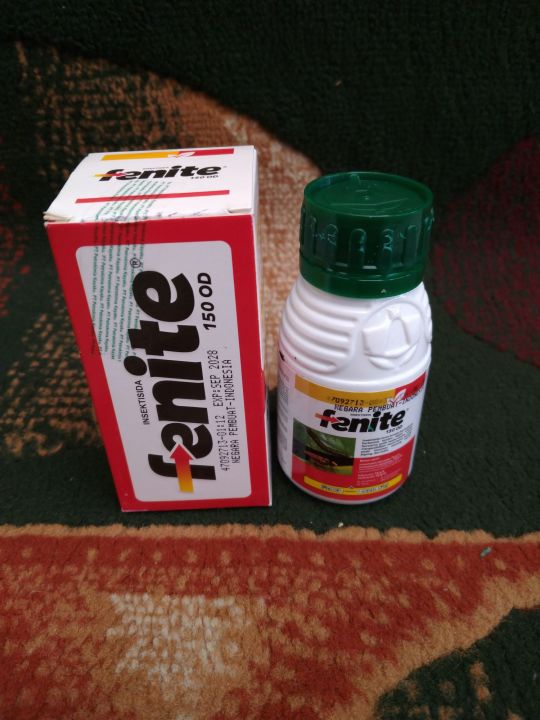 Insektisida FENITE 150.OD 100ml | Lazada Indonesia