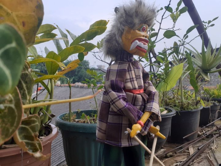 wayang golek buta mangap kualitas super pentas | Lazada Indonesia