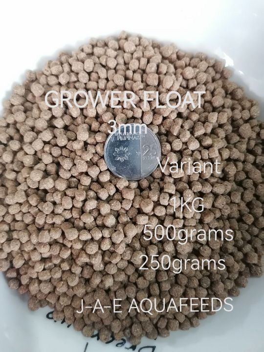 Premium Grower Float Koi Food (tateh) Pellet(1Kg)(500g)(5kg) | Lazada PH