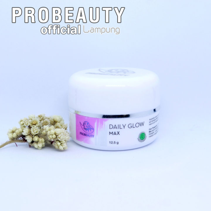 Probeauty Daily Glow Max Skincare Sunscreen Krim Siang Pelembab Wajah Spf 50 | Lazada Indonesia