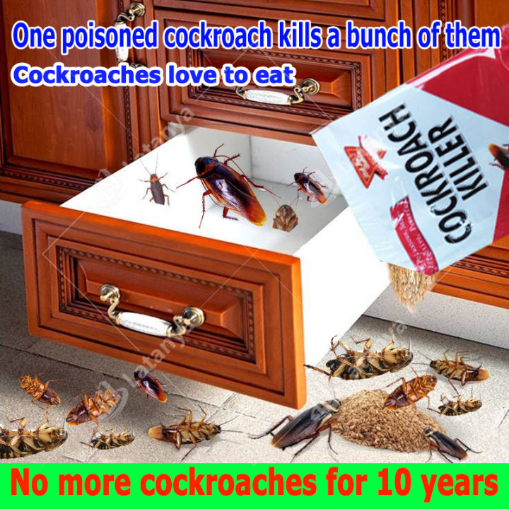 Prevent cockroaches from multiplying for 5 years Super Powerful effective Roach Killer powder ...