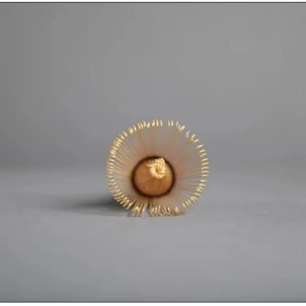 ไม้คนชามะตฉะ ชัเซน | Lazada.co.th