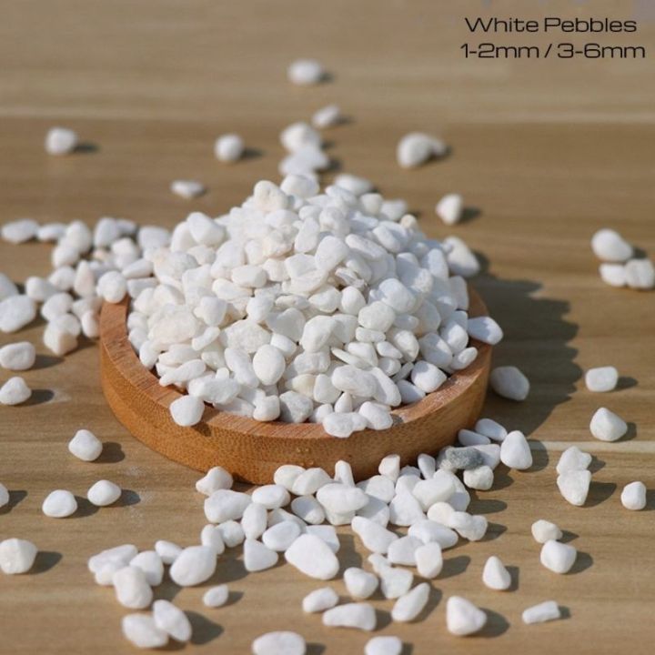 1kg [ SG READY STOCK ] White pebbles stone succulent topping stone ...
