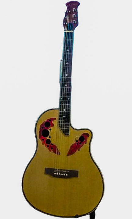 Turtle Back Acoustic Guitar with 4 Way Eq and Pick Up | Lazada PH