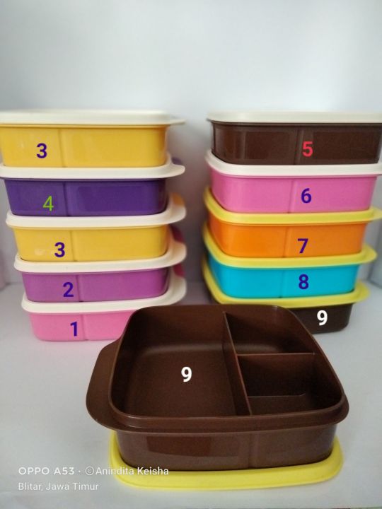 loly tup Tupperware tempat makan tempat bekal bersekat | Lazada Indonesia