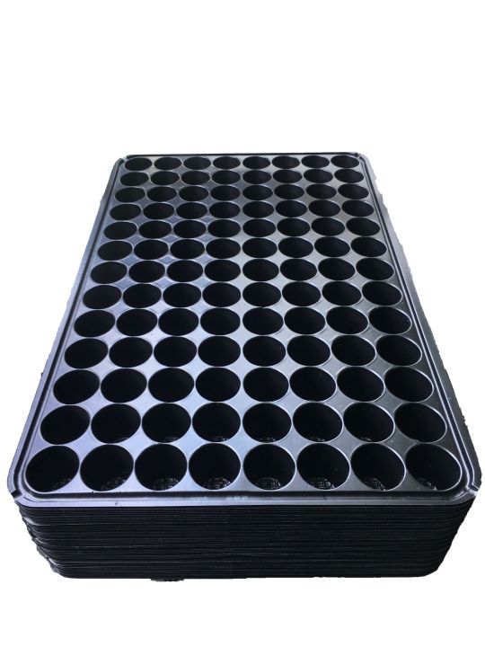 High Quality Seed / Seedling Round Tray #104 Holes Round | Lazada PH
