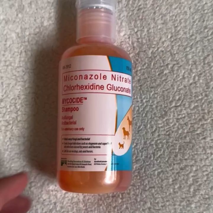 Mycocide Dog Cat Shampoo Antifungal Antibacterial 150ml Miconazole ...