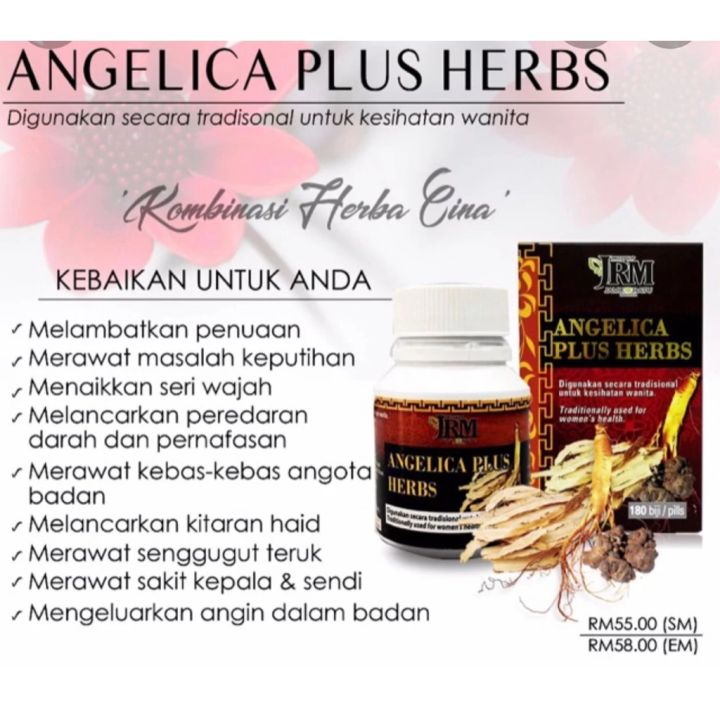 JAMU RATU MALAYA ANGELICA PLUS HERBS | Lazada