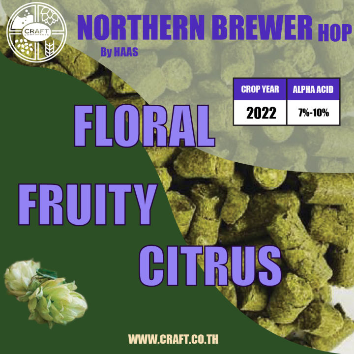 ฮอป ทำเบียร์ Northern Brewer Hops T90 แบรนด์ Haas | Lazada.co.th