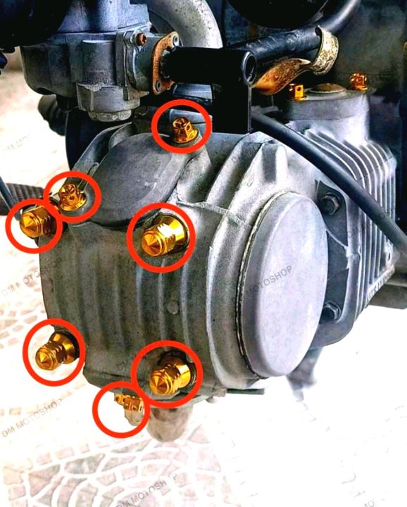 Gold Nuts and Bolts Set - Honda XRM 125 & Wave 125 Motorcycle Engine ...