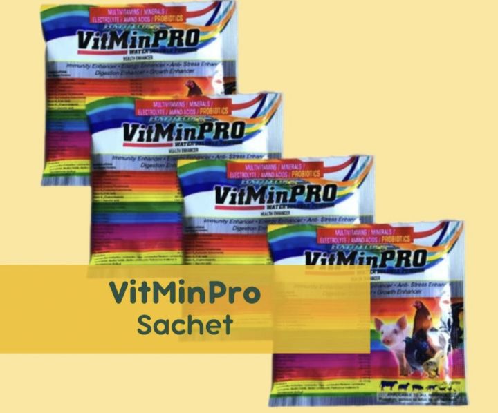 VitMinPro Multivitamins, Water soluble powder | Lazada PH