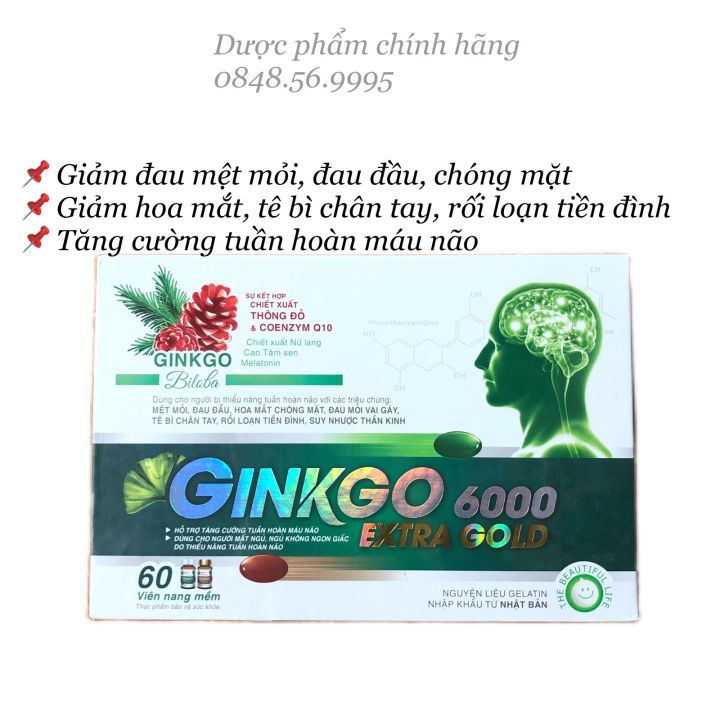 GINKGO 6000 Extra Gold - Ginkgo biloba hỗ trợ tăng cường tuần hoàn máu ...