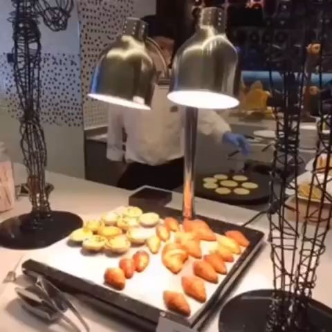 Commercial Food warmer heat lamp 250w stainless steel Bottom adsorption ...